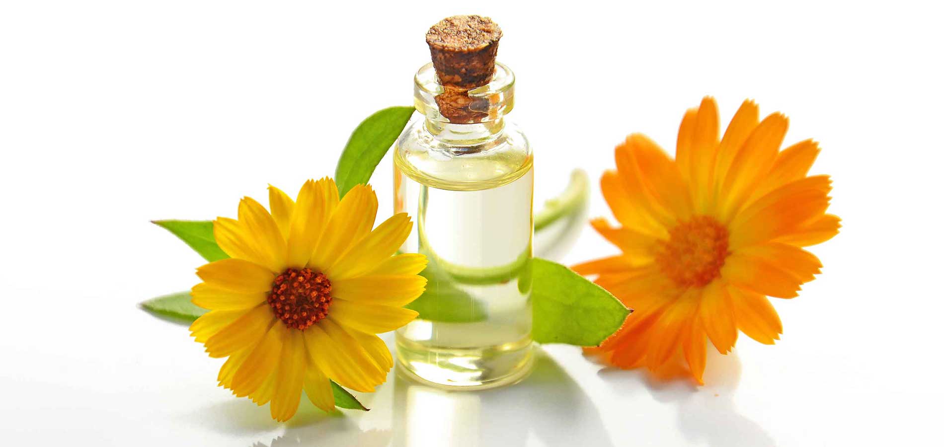 به داربن پارس افرا خوش آمدید | داربن پارس افرا